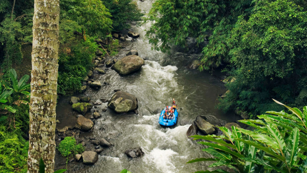 Bali River Rafting and Ubud Day Tour | Bali Lovina Tours Offers Best ...